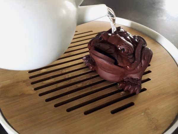 Tea Pet 101: Everything You Need To Know - My Tea Vault