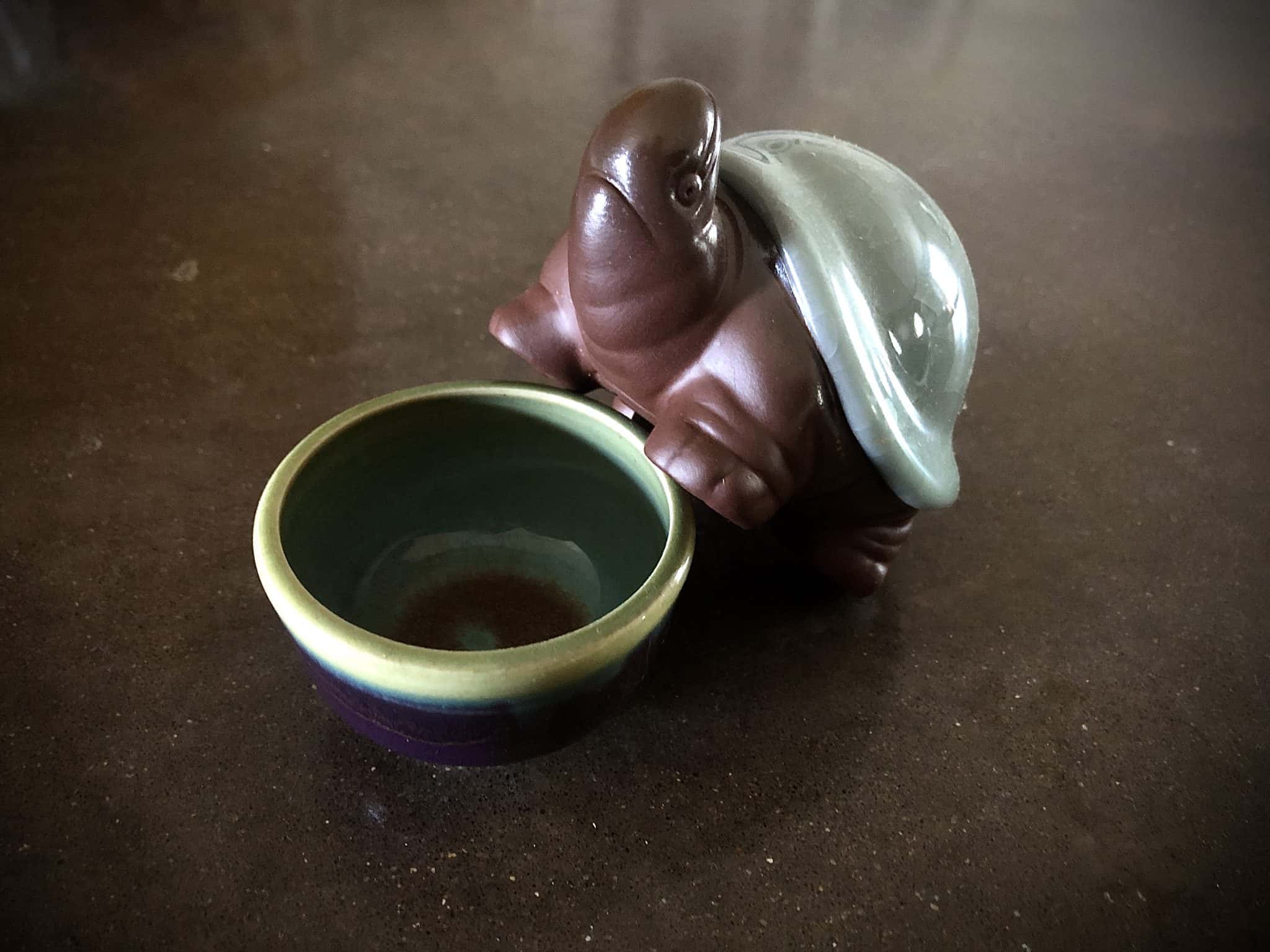 Tea Pet 101: Everything You Need To Know - My Tea Vault