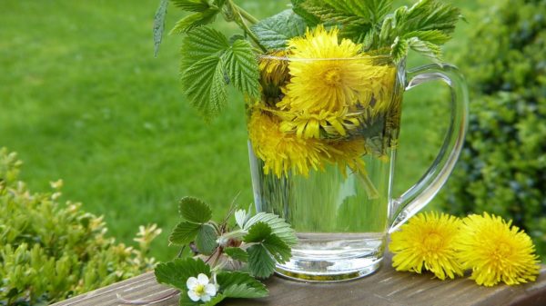 Blooming Flower Tea What Is It? The History And Benefits - My Tea Vault