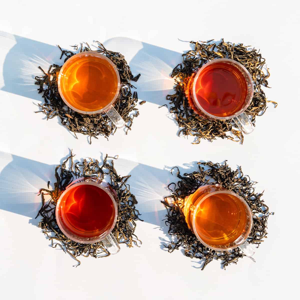 Let’s Get Wild: Wild Tea - My Tea Vault